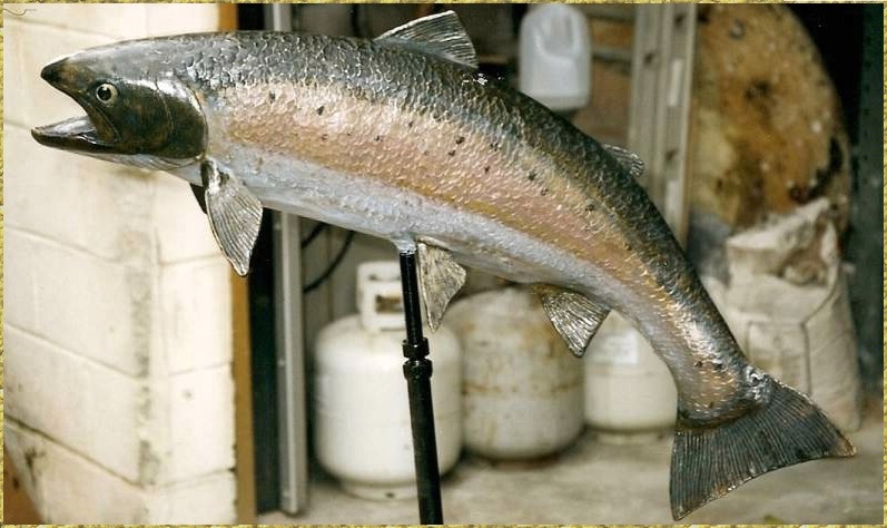 Steelhead